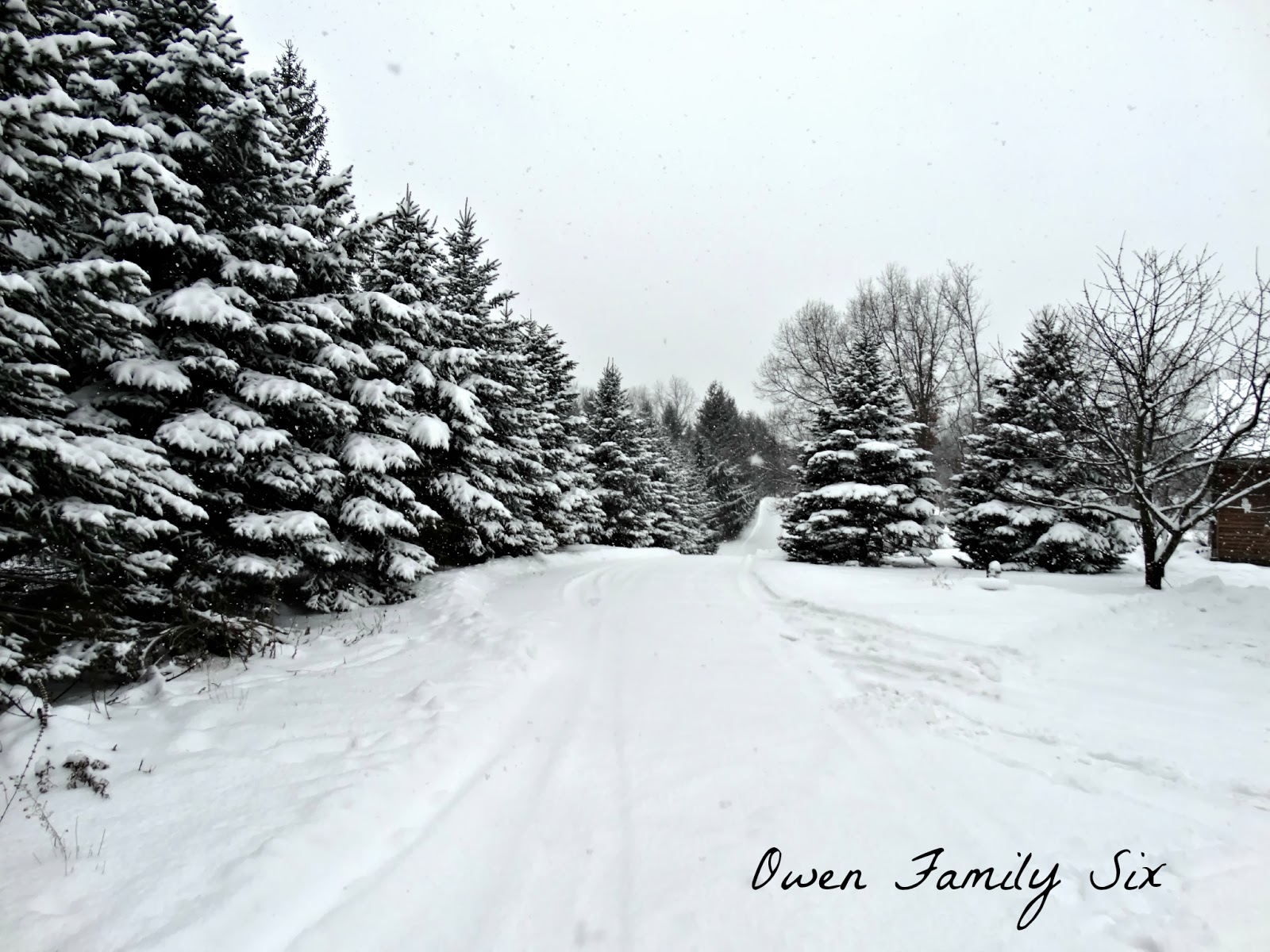 Owen Family Six: Snowy Sunday