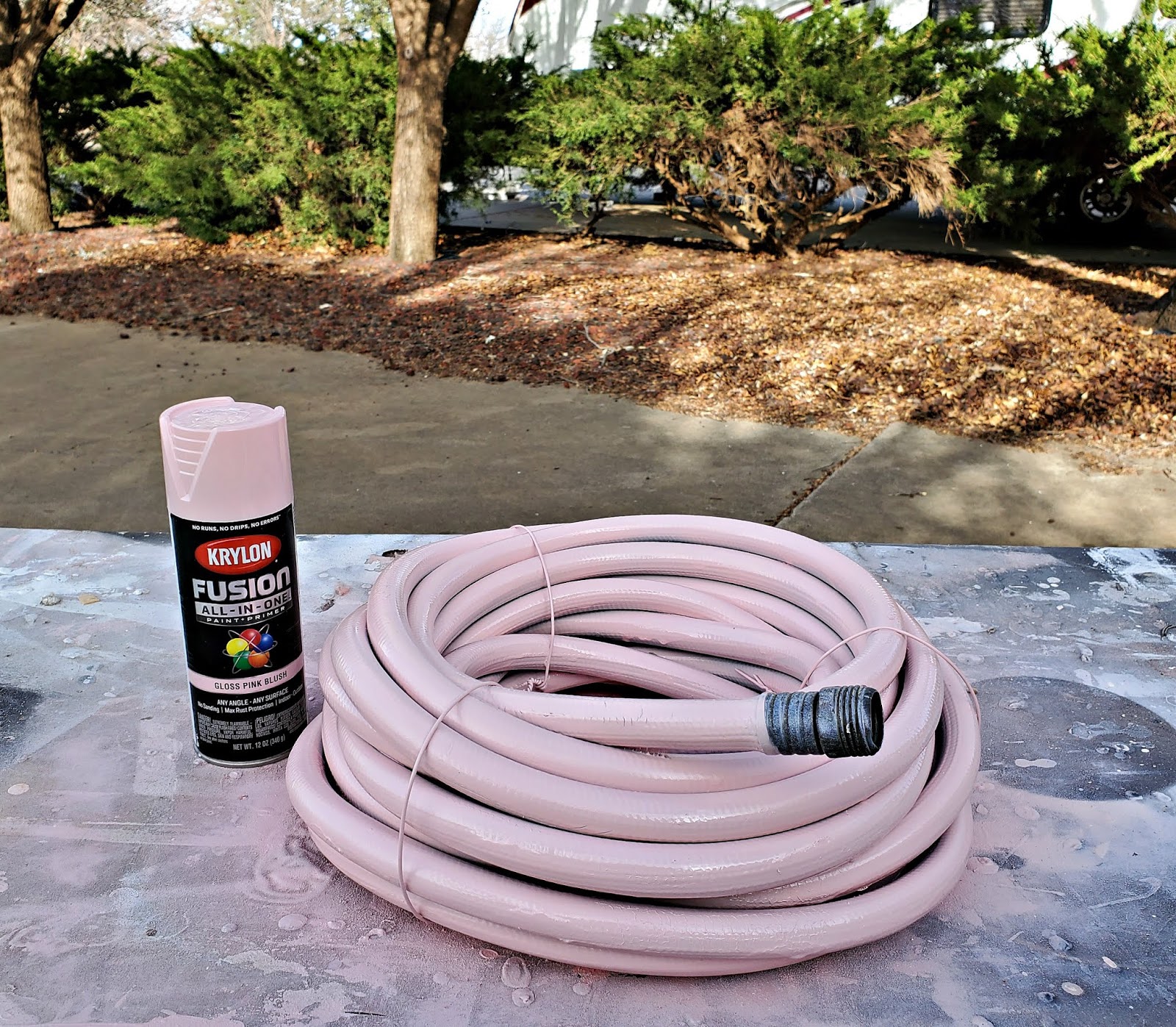 Penny's Vintage Home: Pink Garden Hose