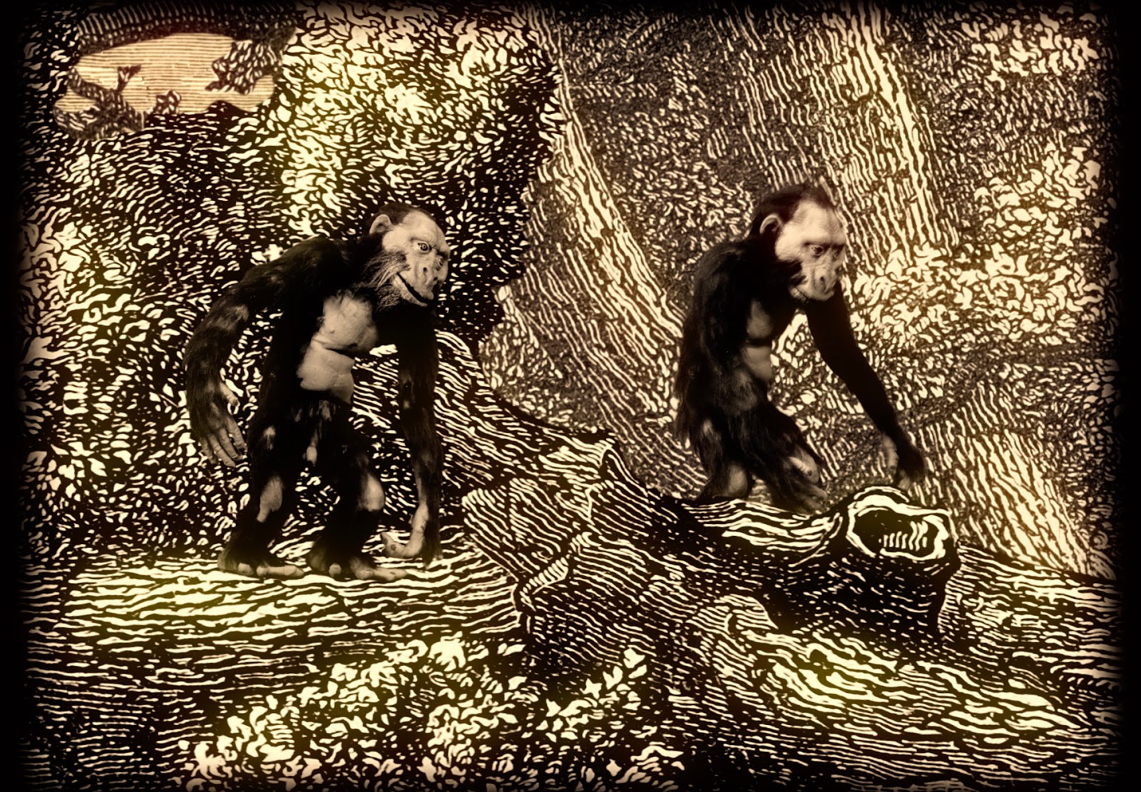 The Lone Animator: February 2020