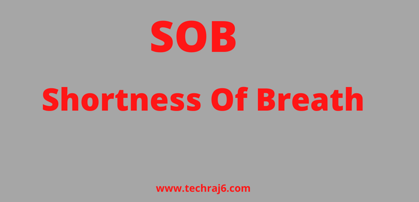 SOB full form, What is the full form of SOB