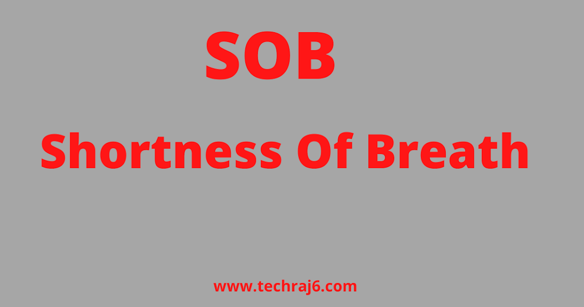 SOB full form, What is the full form of SOB