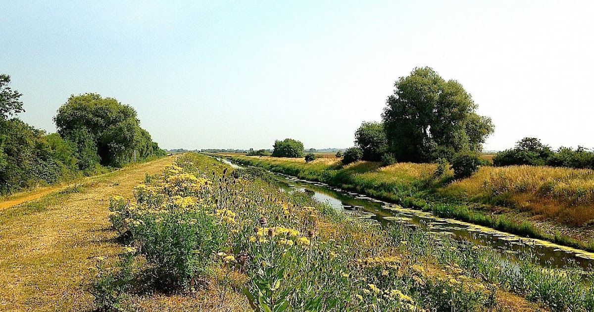 Cambridgeshire walks: Earith lakes