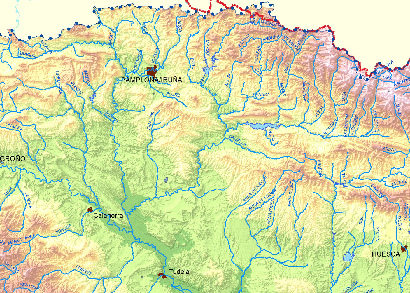 ARGA BIZIRIK - ARGA VIVO: Ictiofauna del Arga