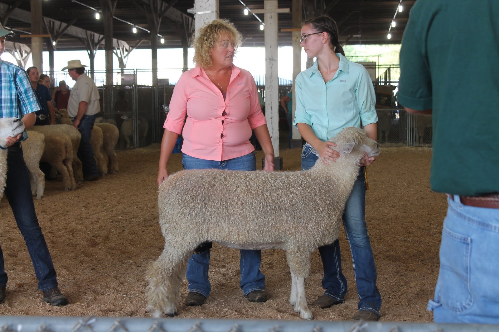 Ewe's Crazy & So is I !: Weekend of sheep showing fun with my kid ...