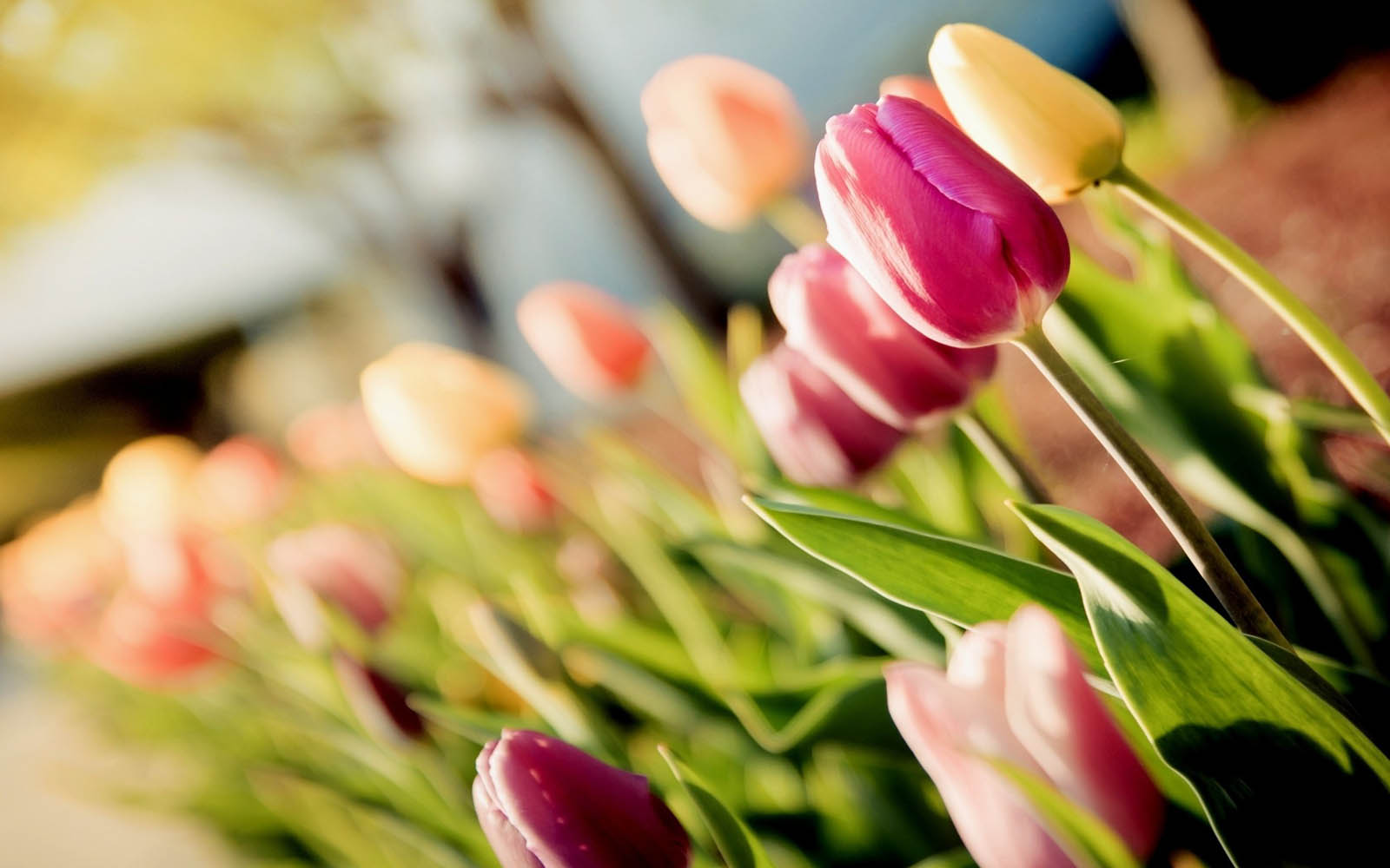 Digital Photography Wallpapers