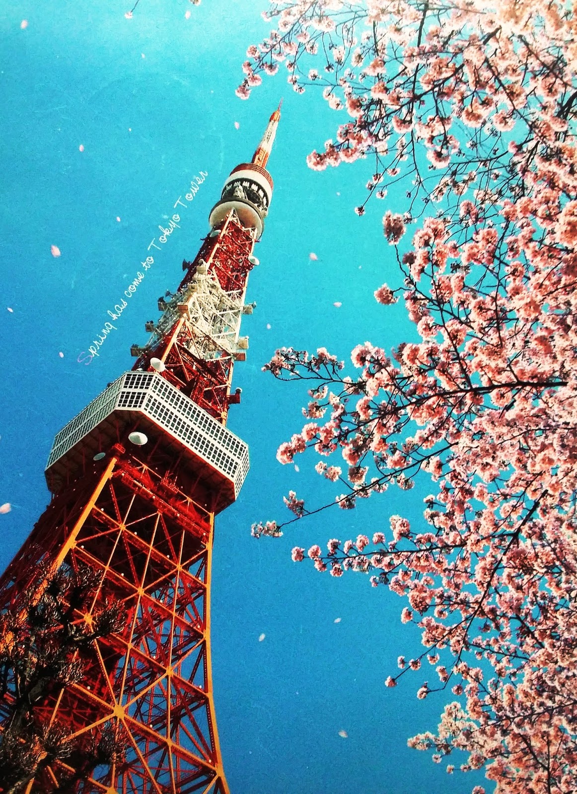 Namaste Postcards: Japan: Tokyo Tower