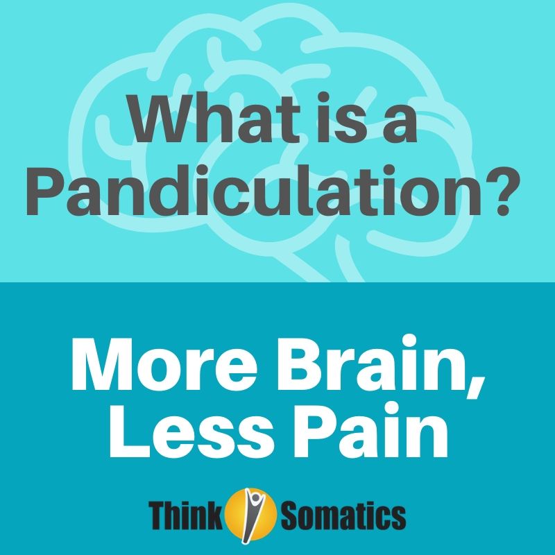 What is a pandiculation?