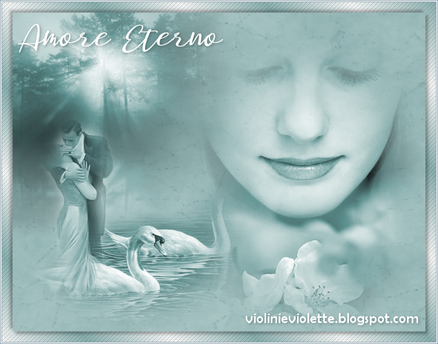 Violini e Violette: 2019