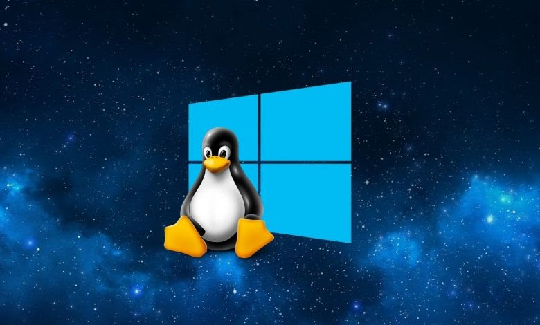 Managing WSL Data Directory/Storage