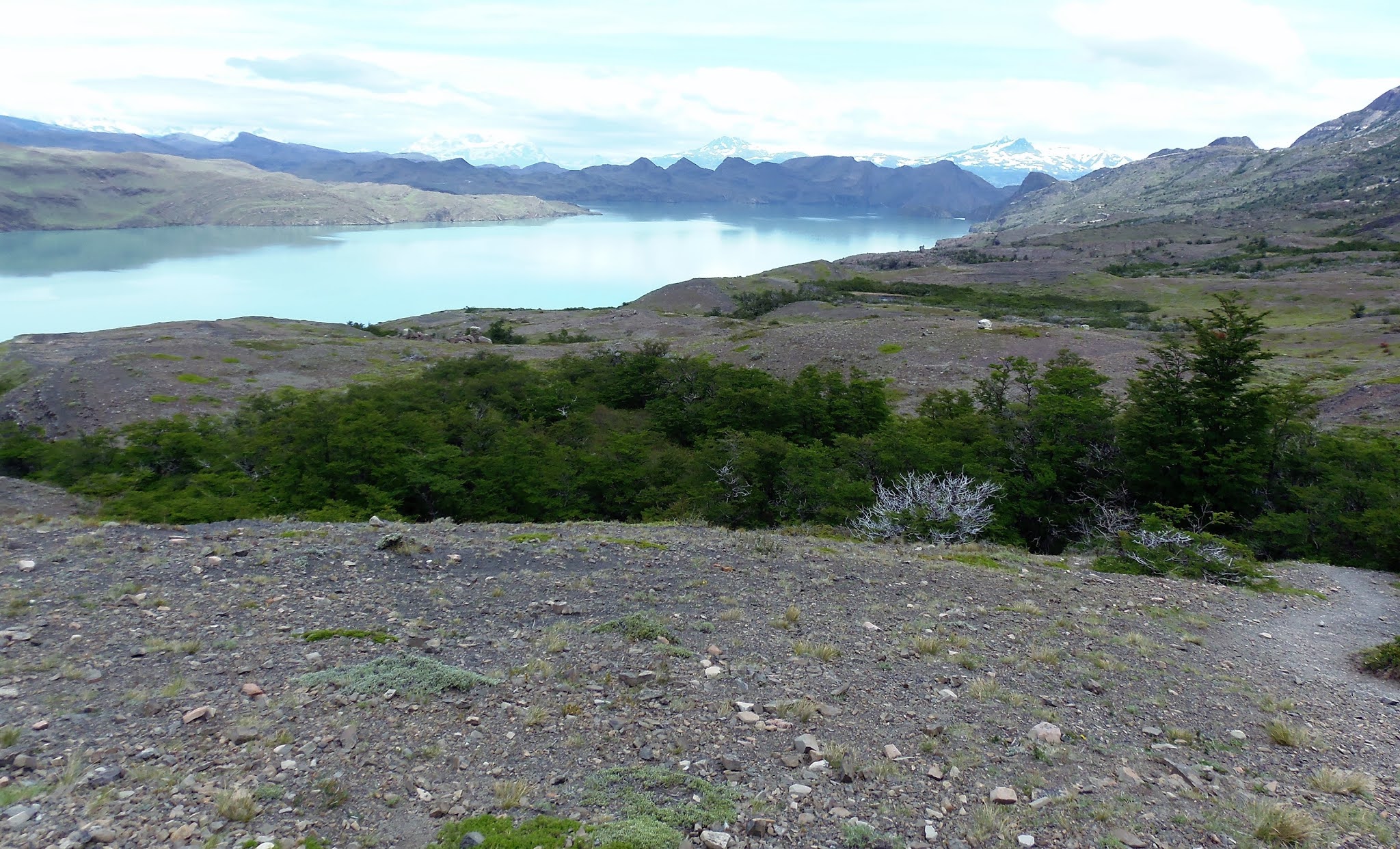 Goin' Feral One Day At A Time: Refugio Los Cuernos to Refugio Las ...