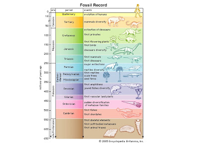 Biology: CHANGE OVER TIME