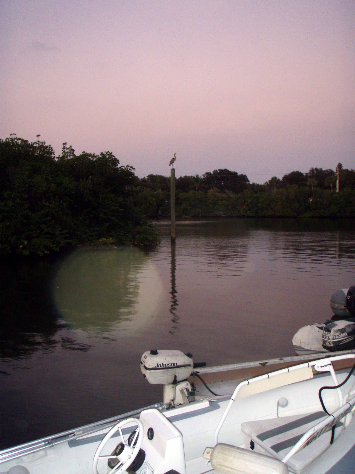 Exuberant Sailing: Floating Through Florida