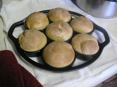 Thoughts from Frank and Fern: Making Whole Wheat Bread