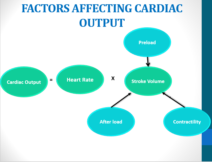 Congestive Cardiac Failure