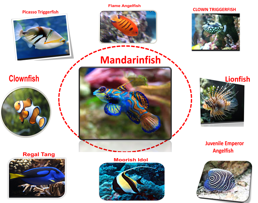 AMAZING AND INTERESTING FACTS ABOUT FISH AND FISHERIES or Unknown Fact ...