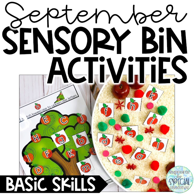Back to School Sensory Bins - Supports for Special Students