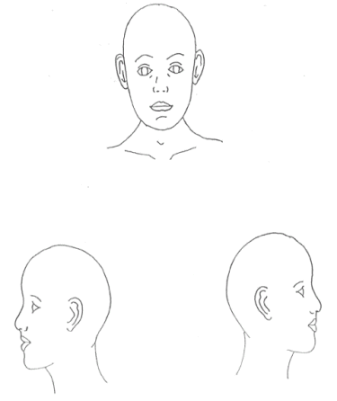 Happy in Hainesport: Body Maps