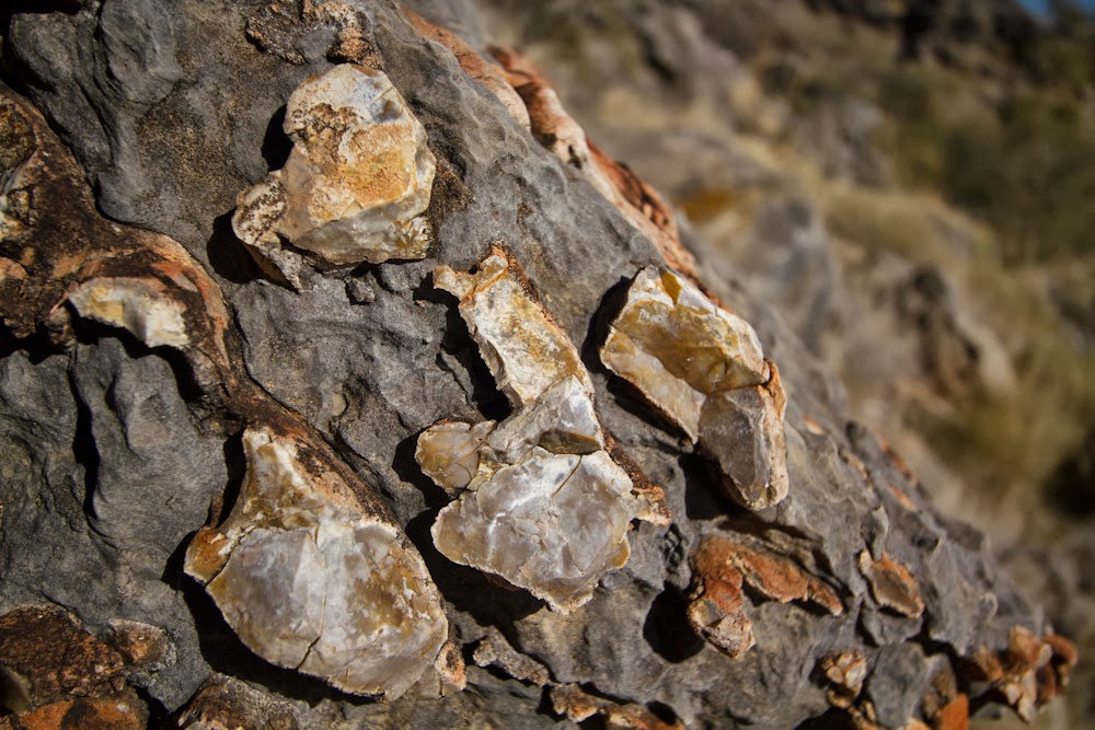 The Geologist Abroad: Lawn Hill National Park