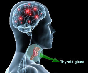 Medical: Thyroid Hormones and the Developing Brain