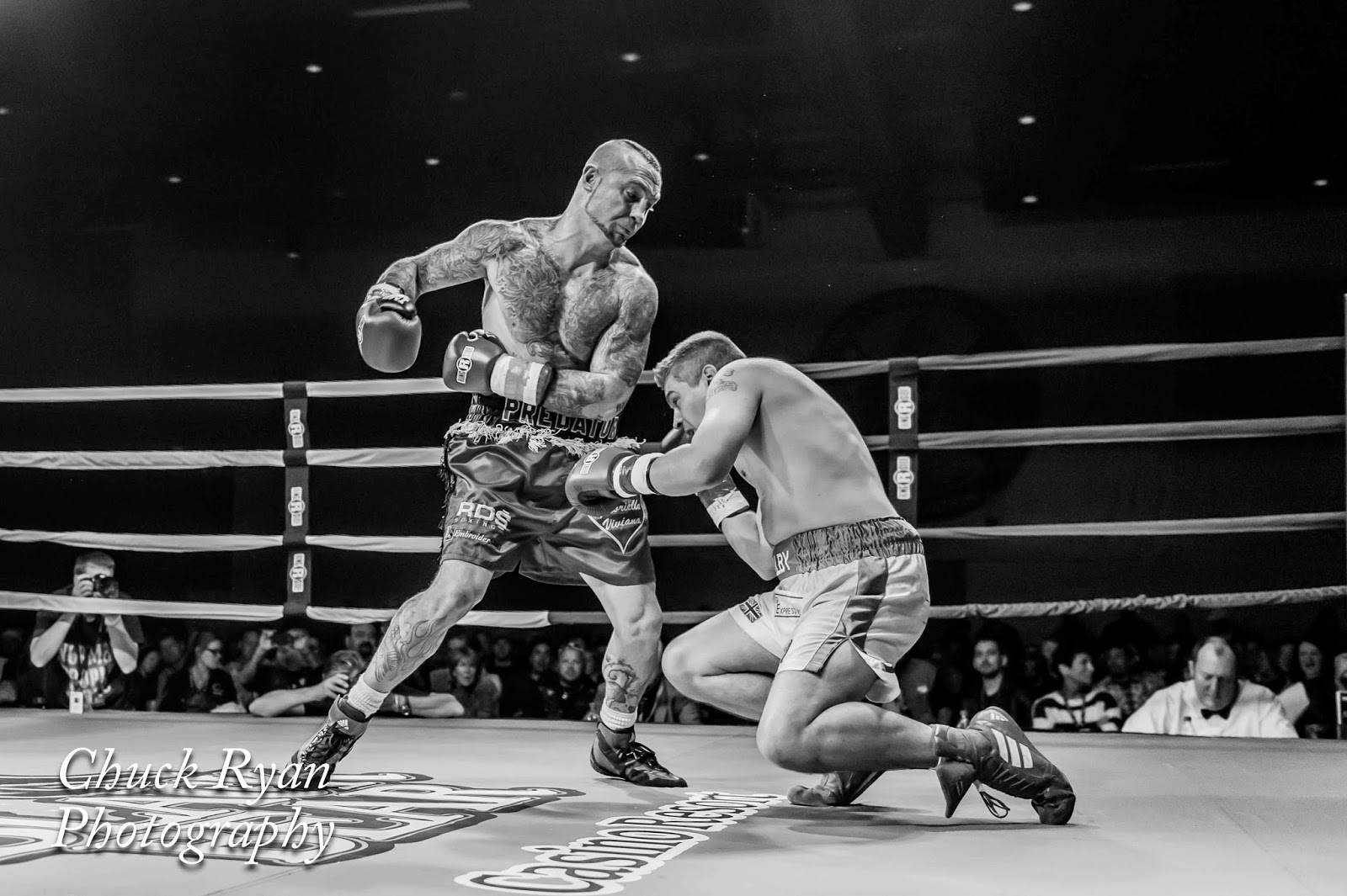 CIIcanoe...: Boxing: Jungle Boy Boxing Presents "The Fall Brawl"