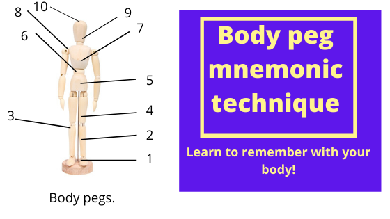 improve your memory with the help of your body? - Body pegs memory ...