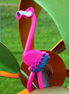 Lifetime Running: PROFILE--"Flamingo Joe" Edgecombe has been running ...