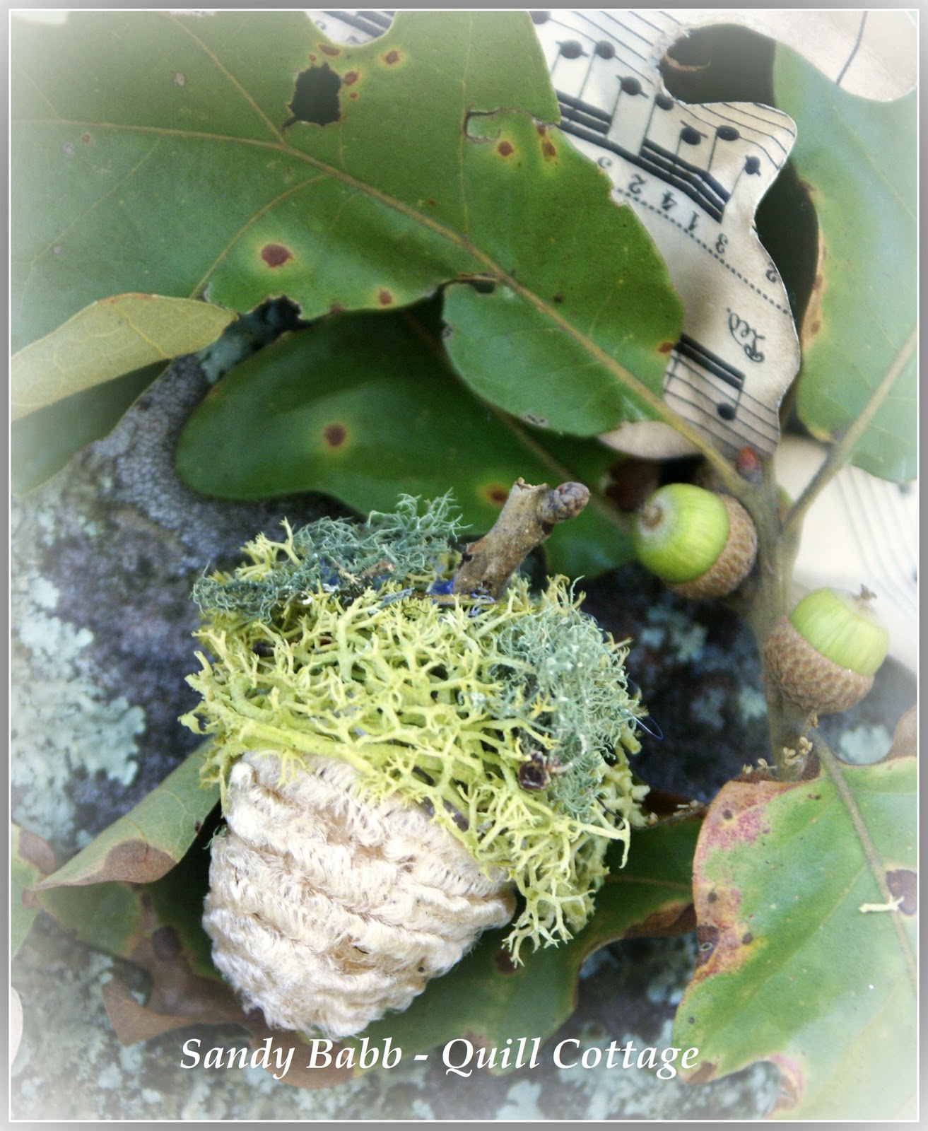 Quill Cottage: DECORATIVE ACORN TUTORIAL...