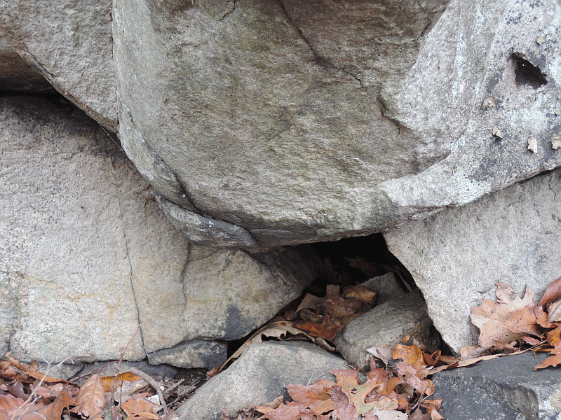 Turtle Rock in Warwick ~ Hudson Valley Geologist