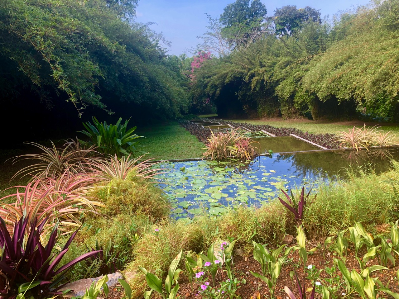 Bevis Bawa's Sri Lankan masterpiece - The Brief Garden