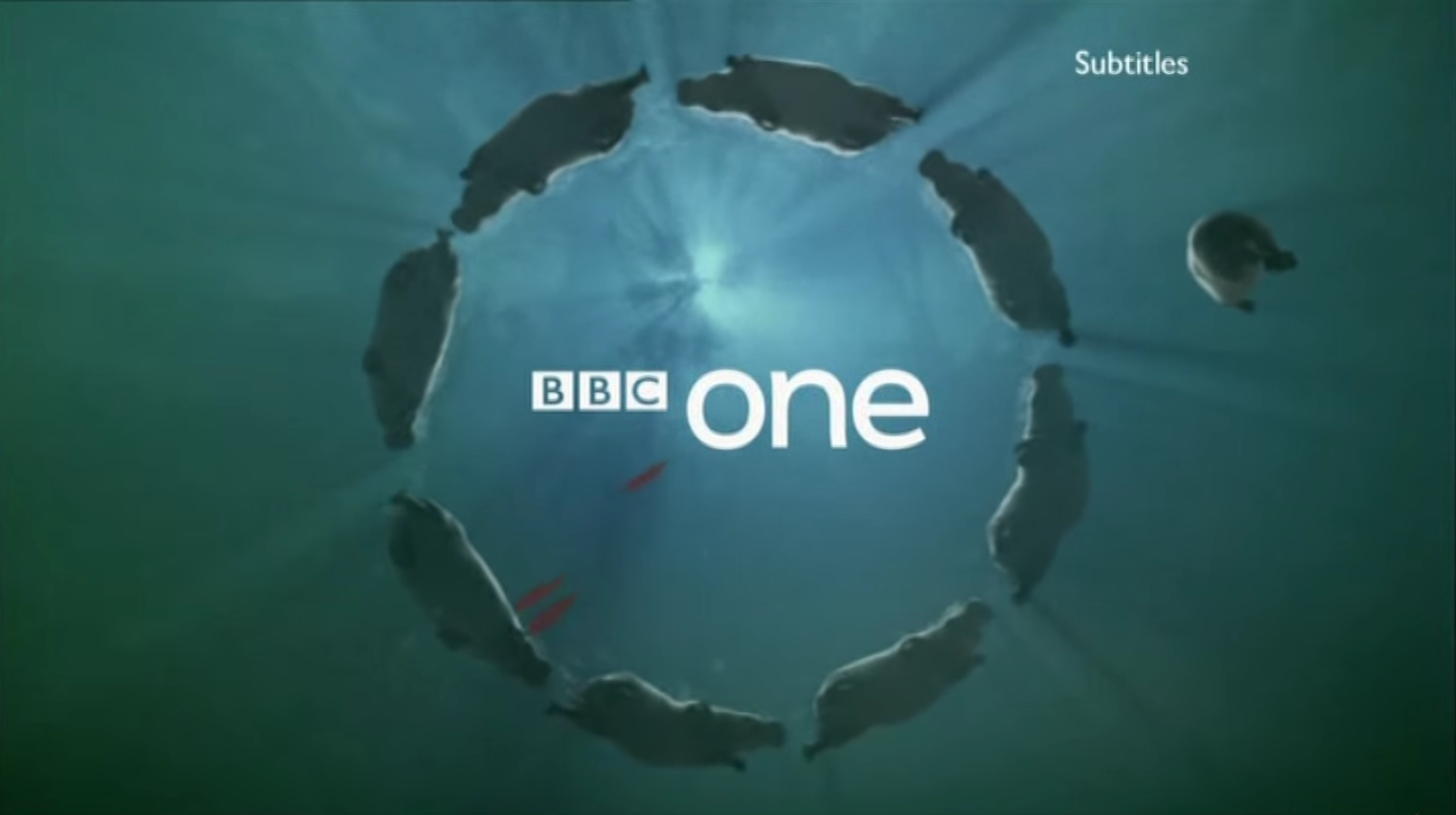 TV Licensing: BBC One Idents