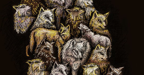 Wolf Patterns