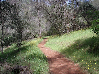 BRT Insights - WW Kayaking & Hiking: Hidden Falls Regional Park hiking ...