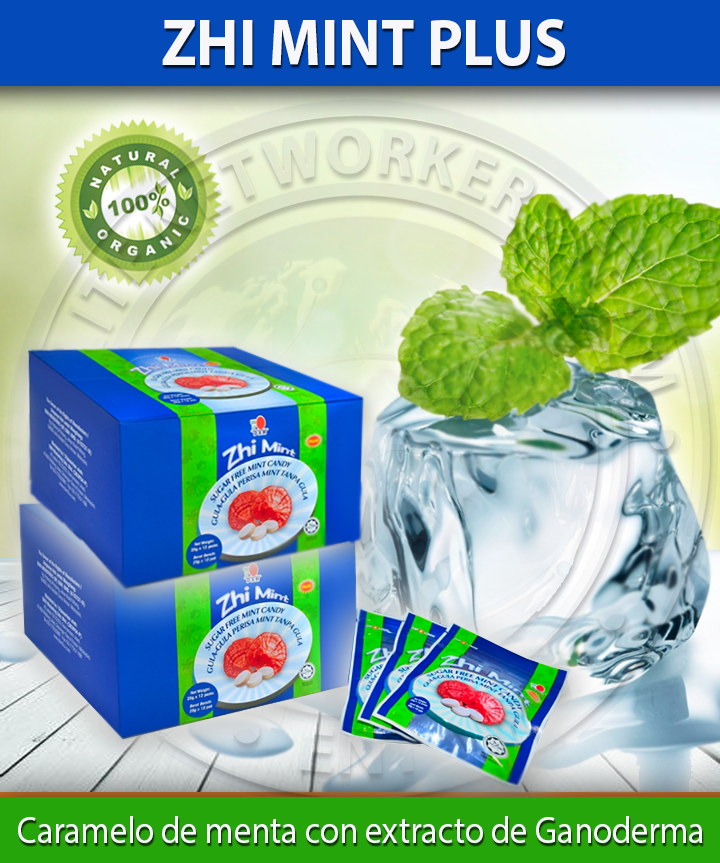 ZHI MINT PLUS DXN
