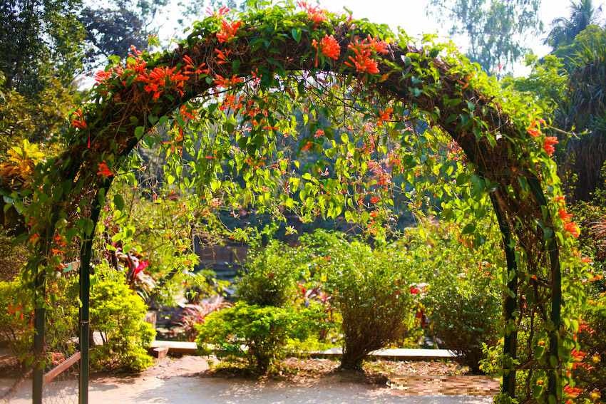Baldha Garden : A Tranquil Beauty of Dhaka