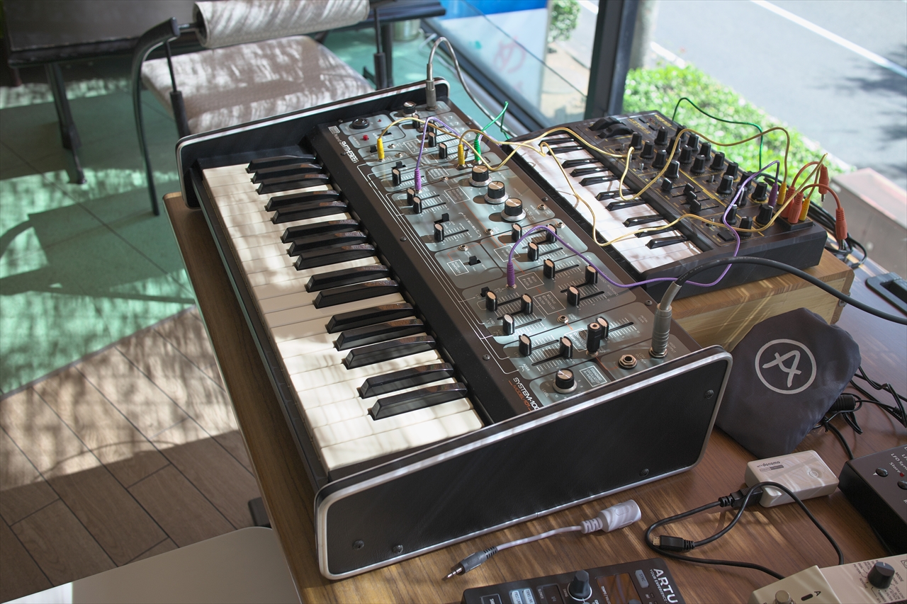 休石 やすみいし: Roland SYSTEM100 Model.101 #1