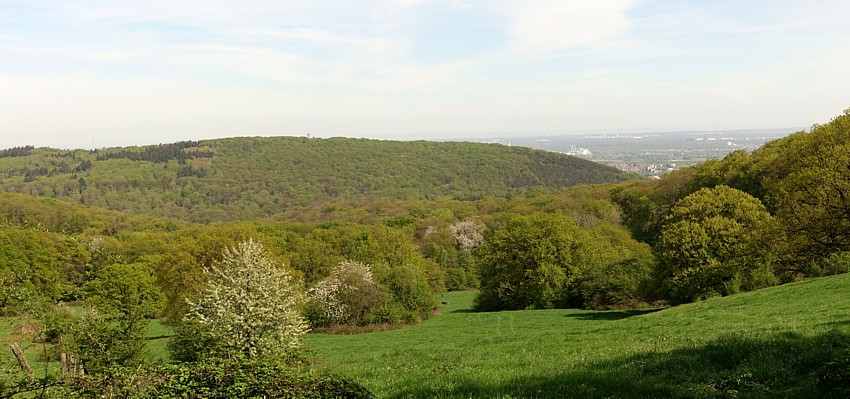 Taunus Wiesbaden: Hofheim - Langenhain - Breckenheim