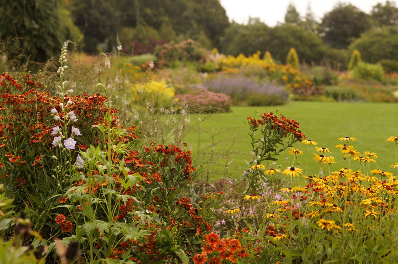 Bressingham Gardens - Sophie in the Sticks