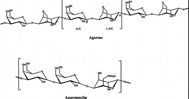 PHARMACY NOTES: AGAR