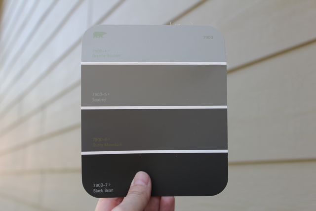 Project Denneler: Squirrel