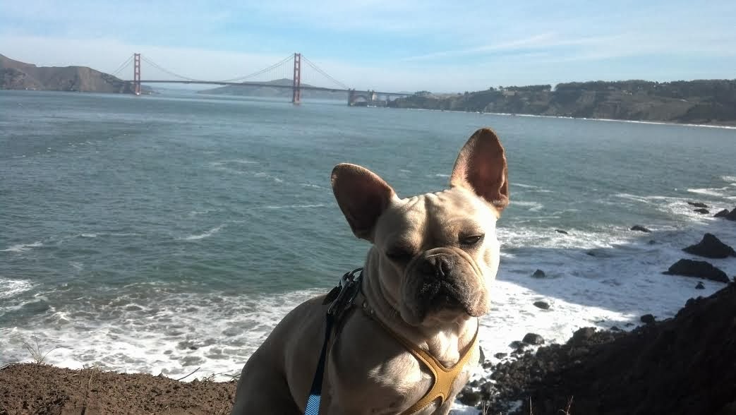 The Best Places of This Town: Lands End