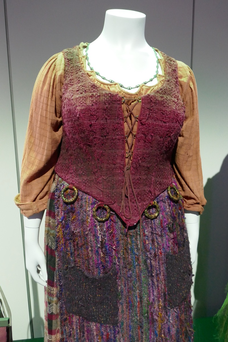 Hollywood Movie Costumes and Props: Screen-worn Hocus Pocus film ...