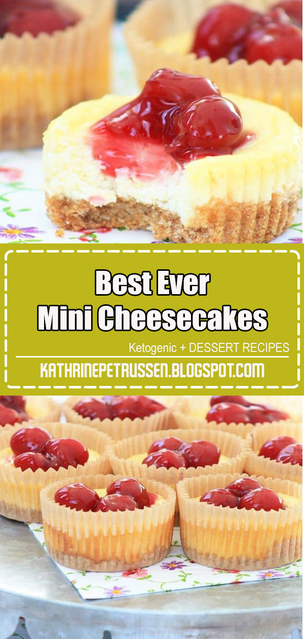 Best Ever Mini Cheesecakes - Darwin Recipes