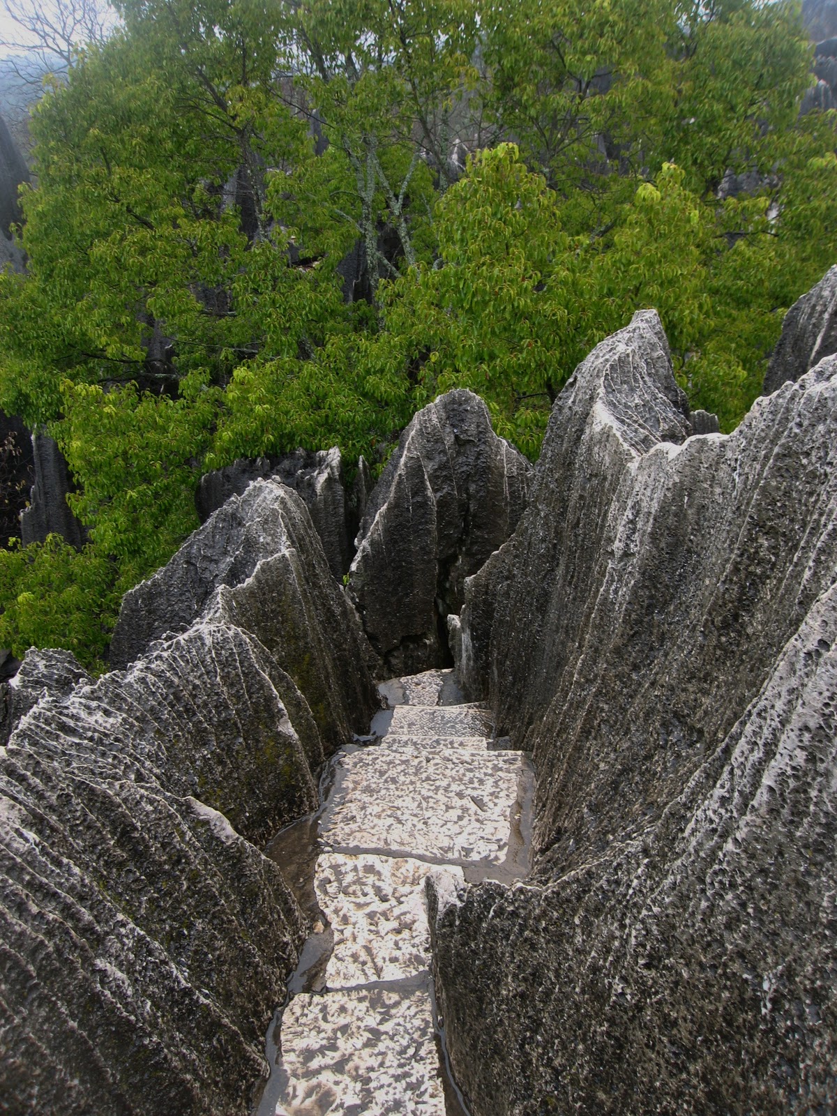 Stone Forest, Yunnan, China
