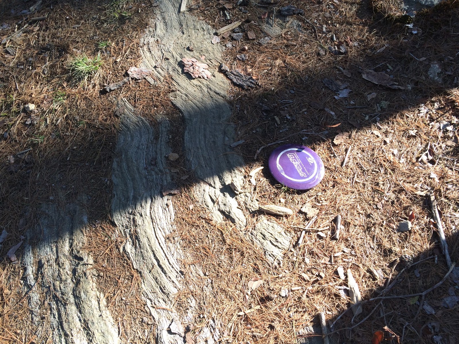 The Geology of Disc Golf: Coggshall, Fitchburg MA