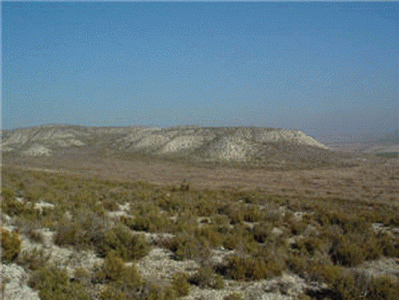 PAISAJES DE LA TIERRA 1ºA ESO: CLIMA ESTEPARIO