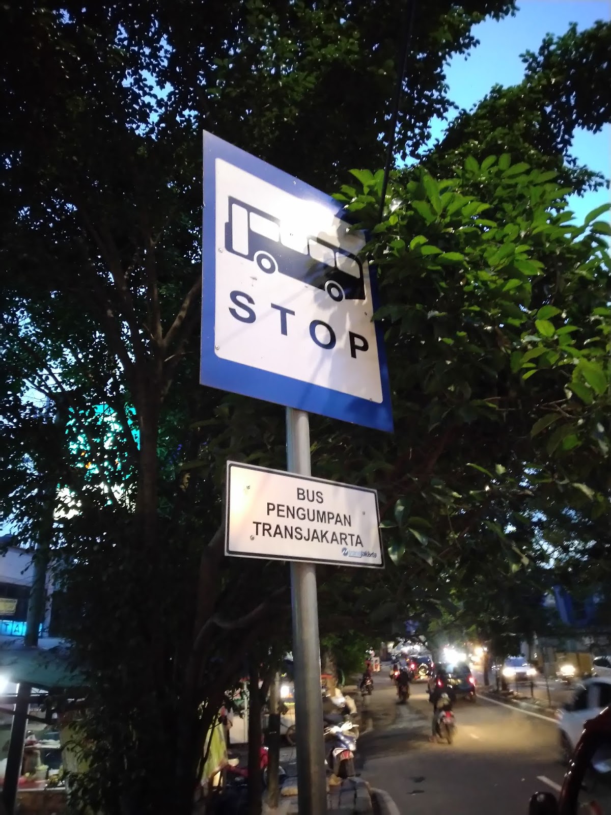 Belajar di Dalam Bus - Nancy Duma