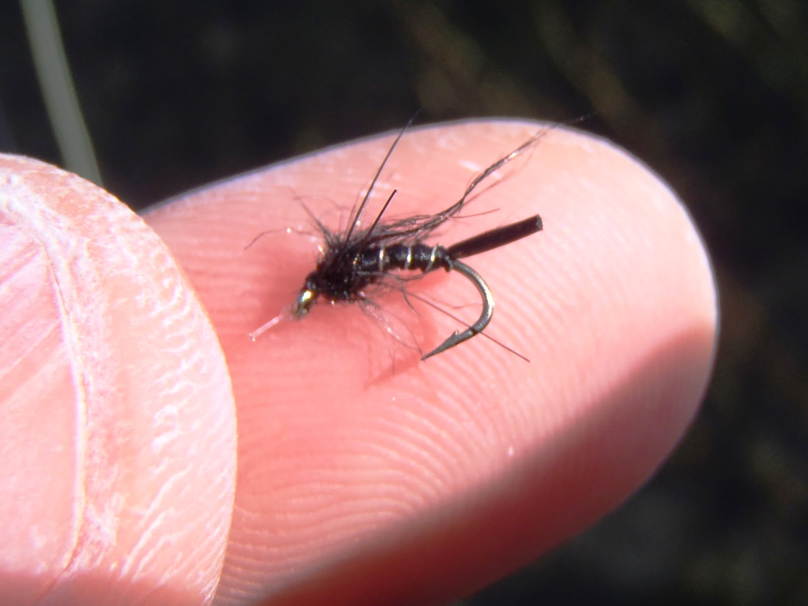 Mountains, Rivers, & Trout: Best of Spring Hatch - AM Midge