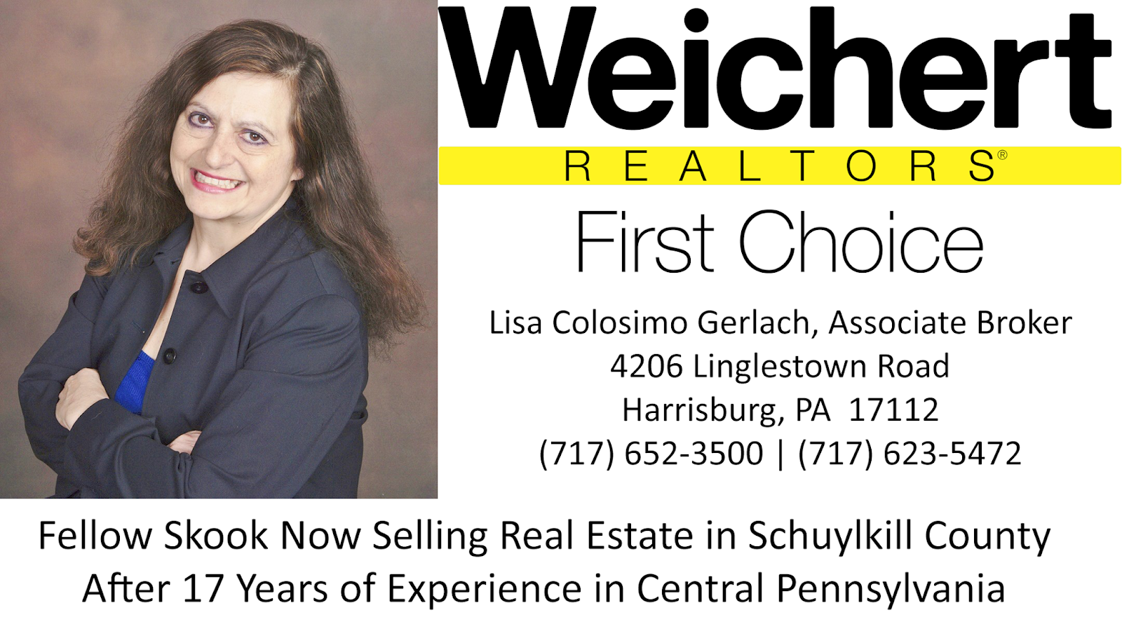 Schuylkill High School Baseball and Softball Scores - 03/28/19