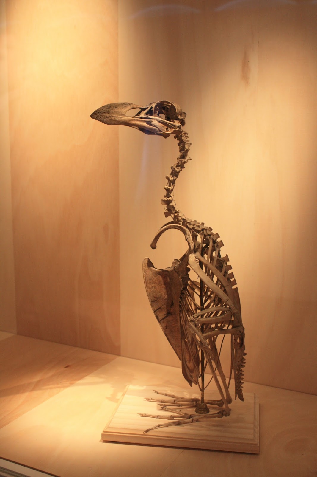 A Little Time and a Keyboard: Learning About Perspective at the Culture ...