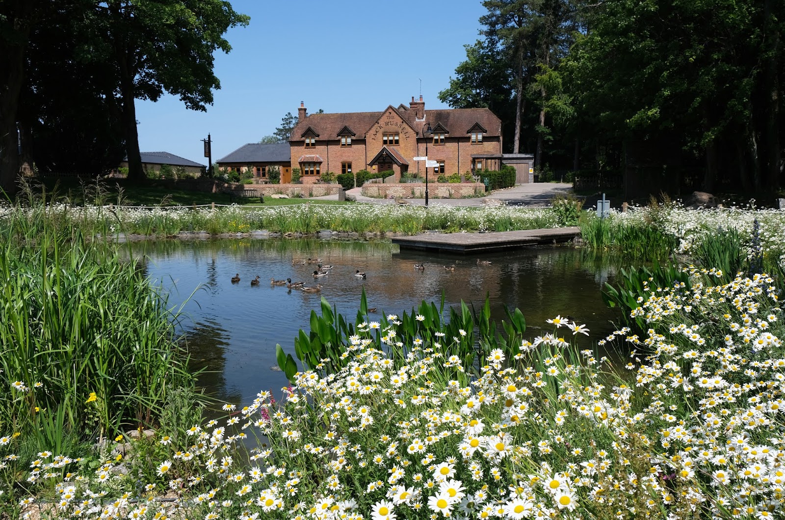 Walking in the country: Ashmansworth and Faccombe